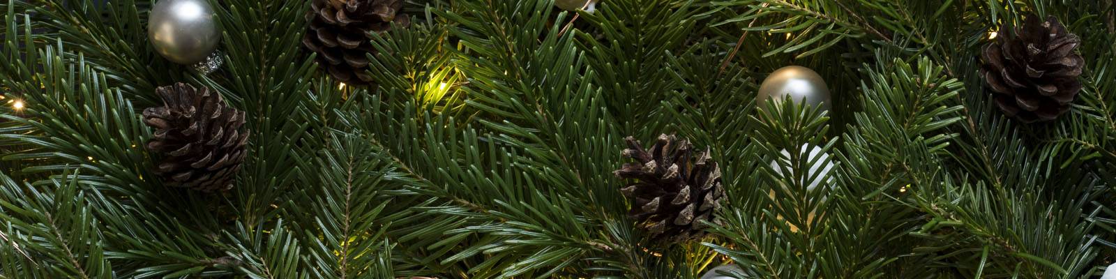 Fun Christmas-Themed Activities for the PE Classroom